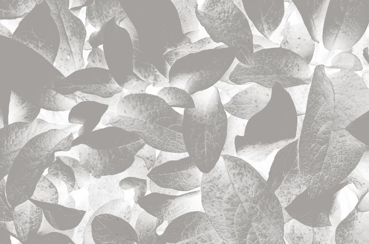 What is Conversion Disorder (Functional Neurological Symptom Disorder ...