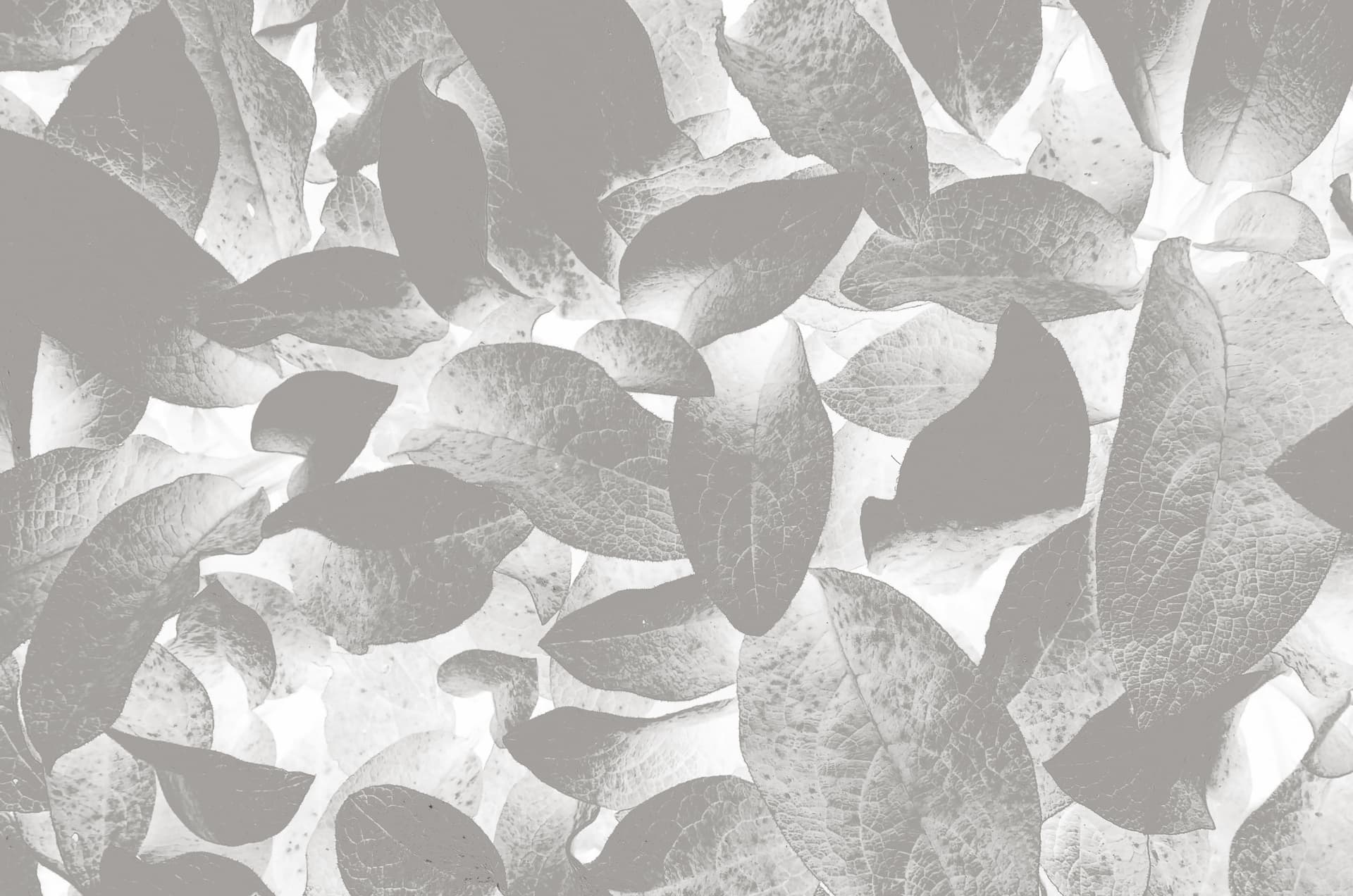 What is Smoking? - Time for Therapy