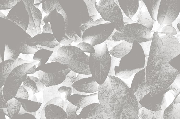 What is Unspecified Psychotic Disorder? - Time for Therapy